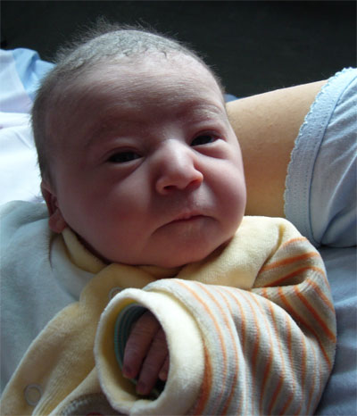 Naissance de Theoline chez WOLF Elodie et FRANTZ Marc