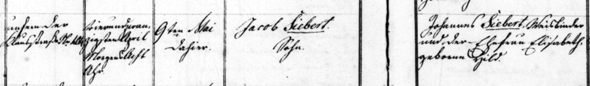 La confirmation d'un lien de parenté grâce à l'analyse du chromosome X